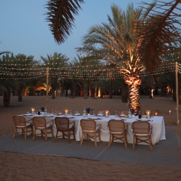 Nara Desert Oasis - Stunning Camp in Palm Tree Grove