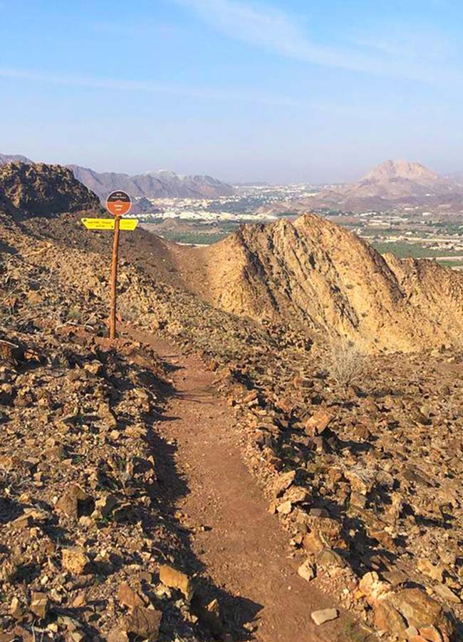 Nara Escape - A Unique Experience