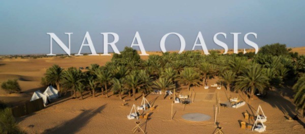 Nara Desert Oasis - Stunning Camp in Palm Tree Grove